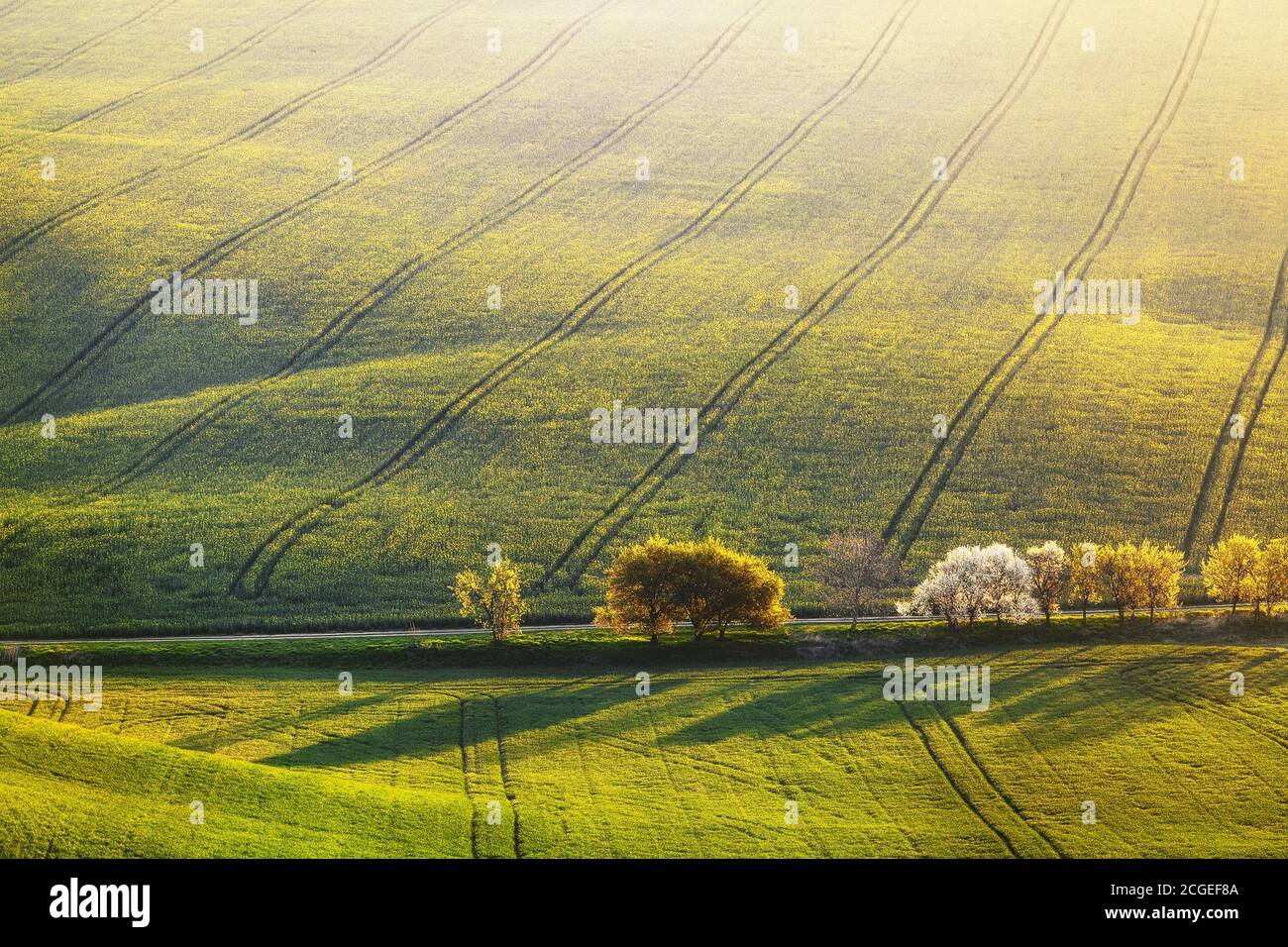 South moravian region hi-res stock photography and images - Alamy