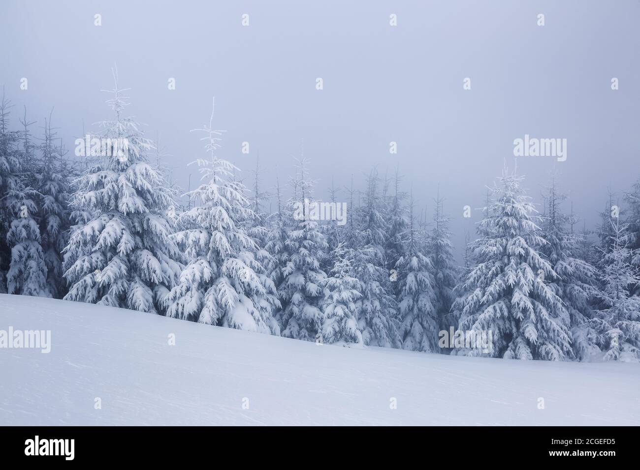 Beautiful landscape on the cold winter foggy morning. High mountain ...