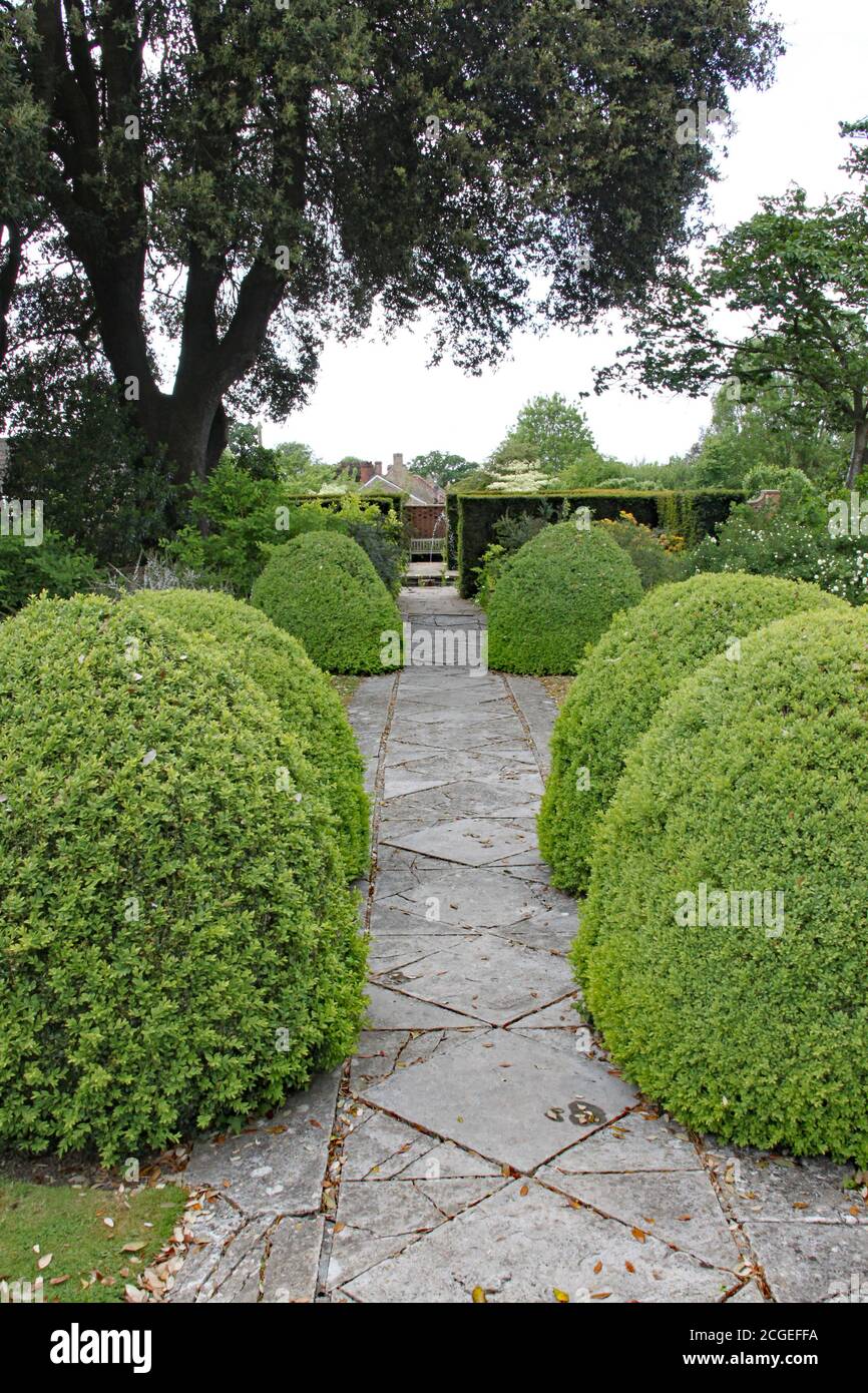 Rounded shrubs hi-res stock photography and images - Alamy