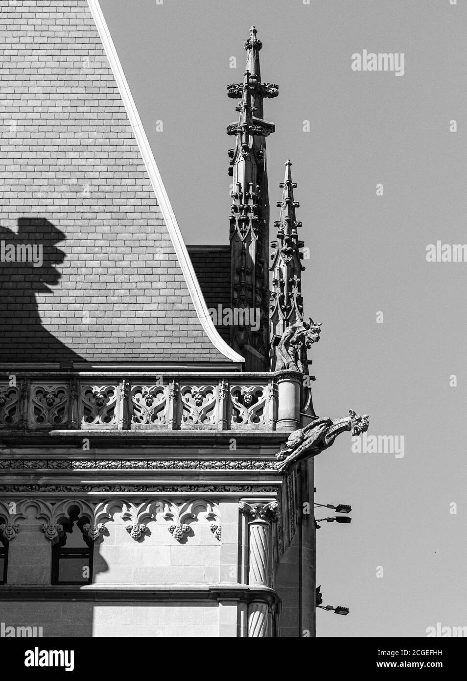 Two gargoyles stare terrified into the distance at the Biltmore House ...