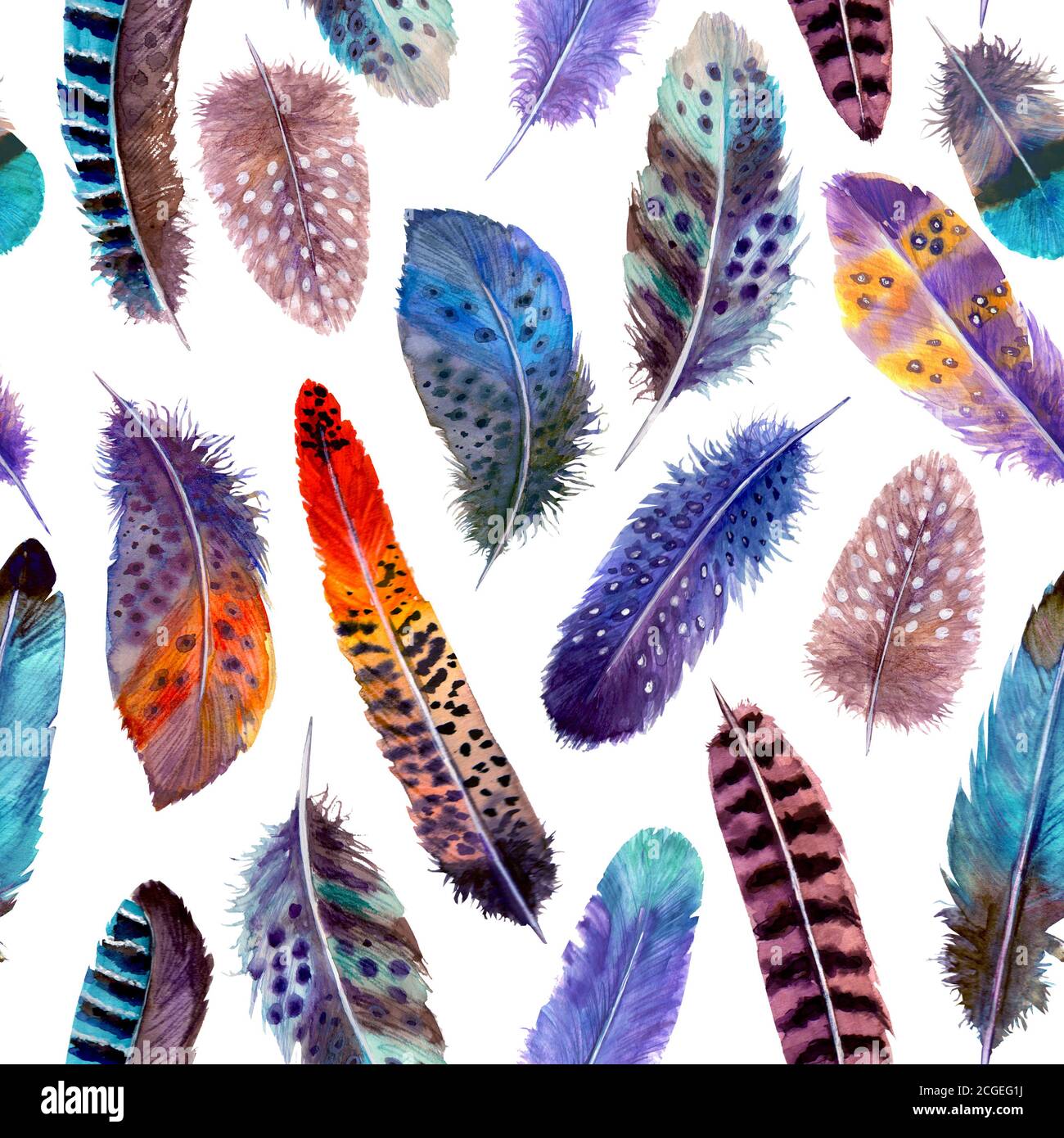 Watercolor Feather