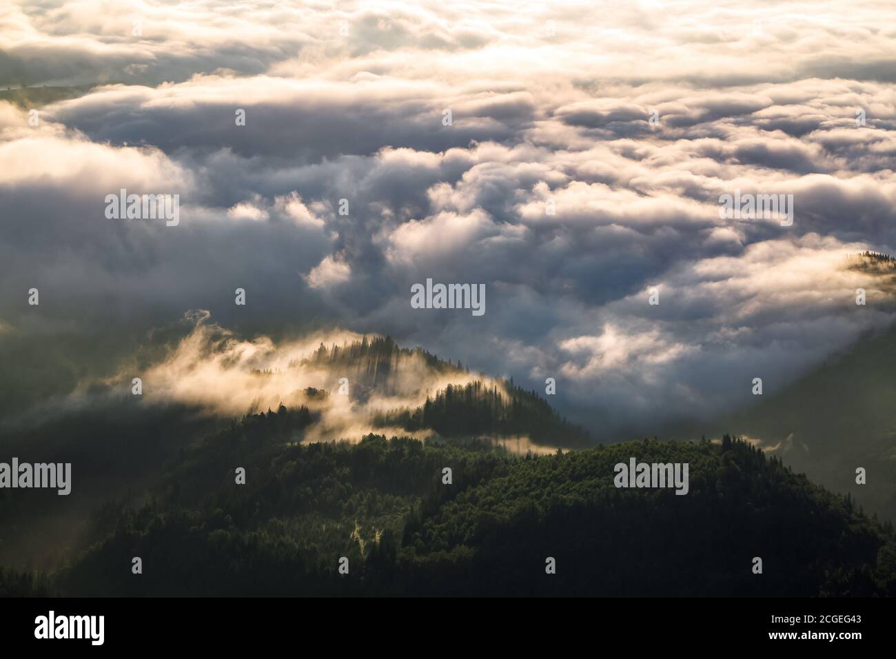 The sun rays are breaking through the thick dramatic mysterious fog and ...