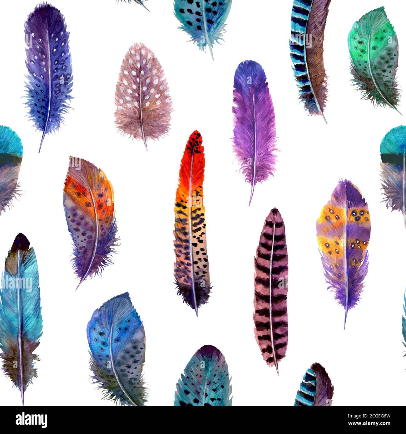 Watercolor Feathers seamless pattern Feather seamless paper overlay ...