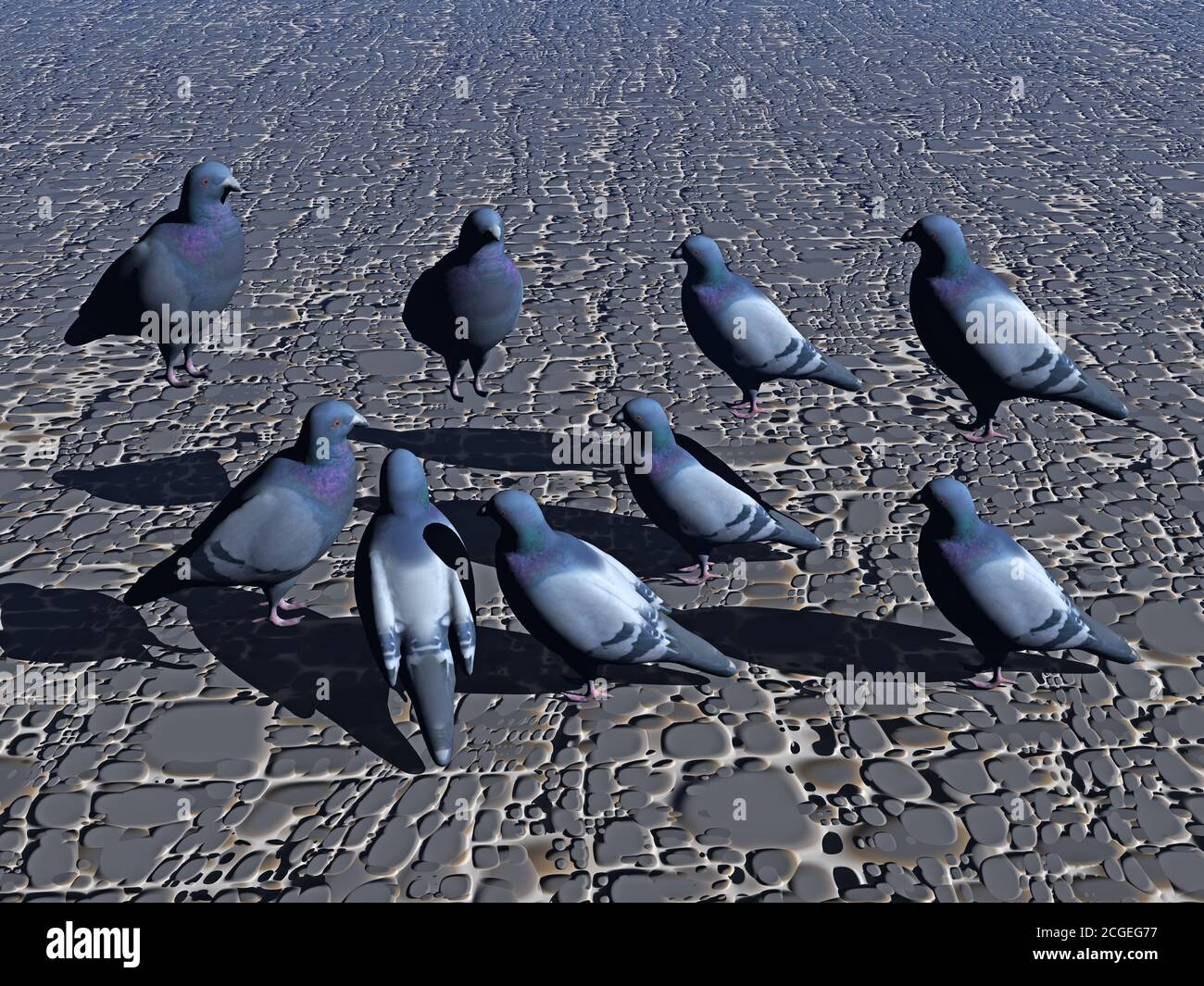 Tauben picken hi-res stock photography and images - Alamy