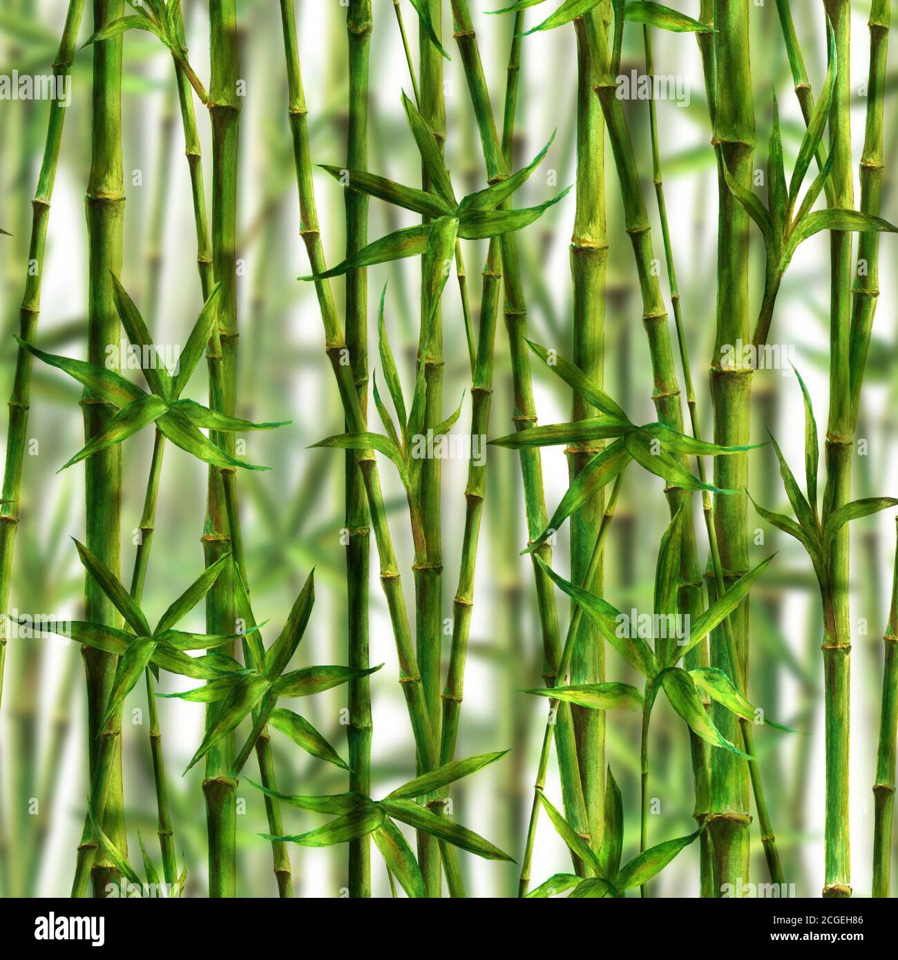 Bamboo watercolor stems and leaves seamless pattern on white background ...