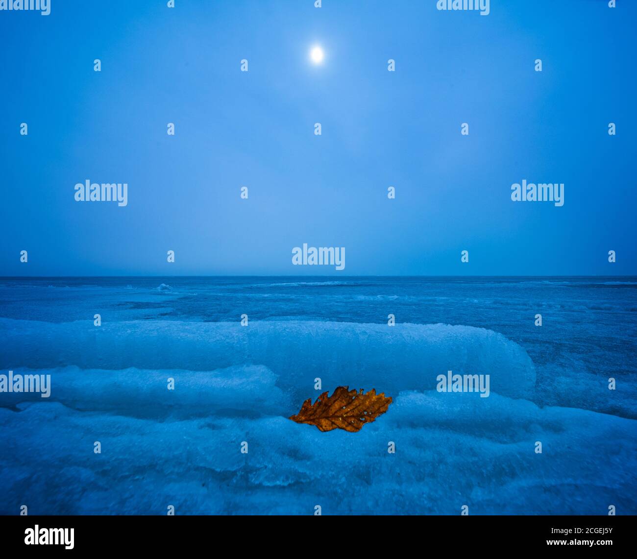 Lake xingkai hi-res stock photography and images - Alamy