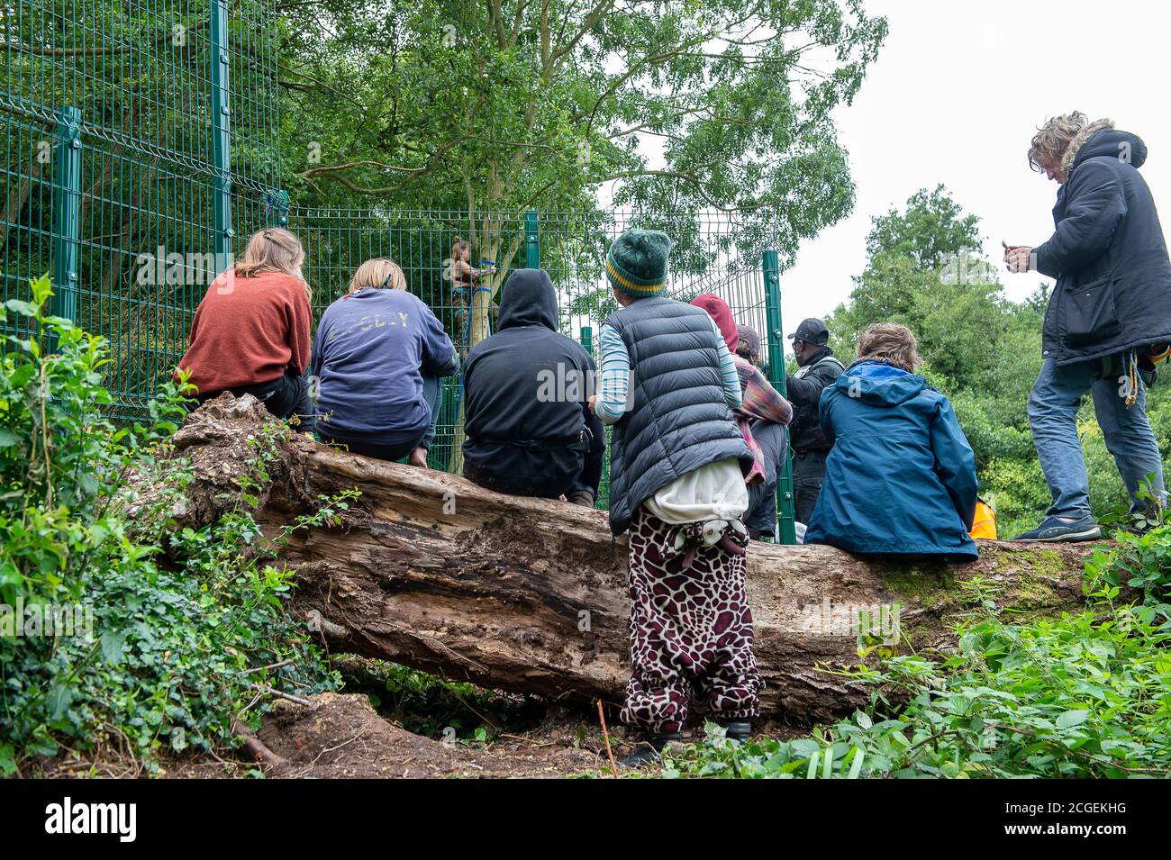 Denham, Buckinghamshire, UK. 8th September, 2020. Tree protectors ...