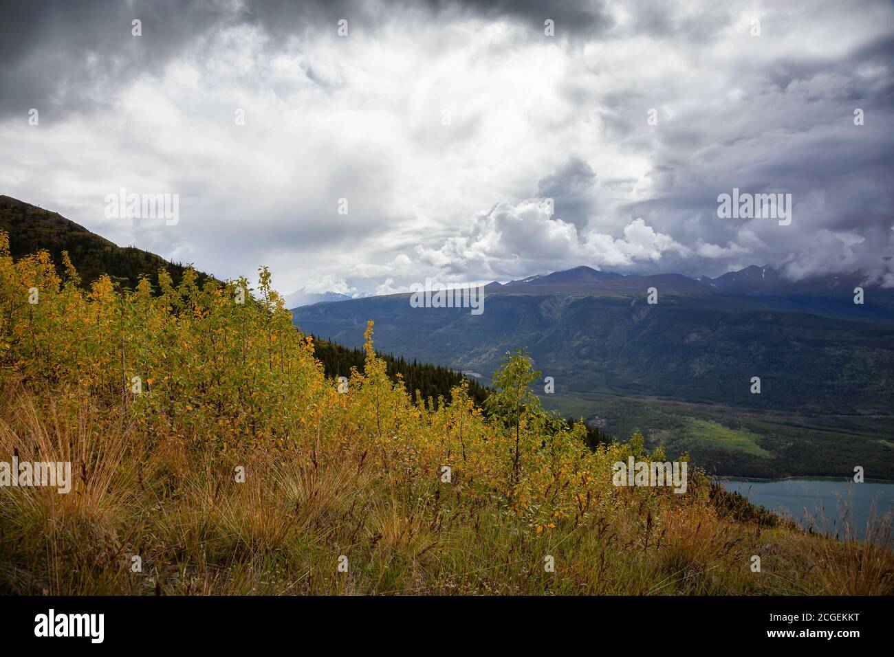 Nature in Yukon, Canada Stock Photo - Alamy