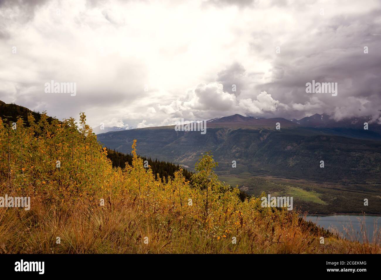 Nature in Yukon, Canada Stock Photo - Alamy