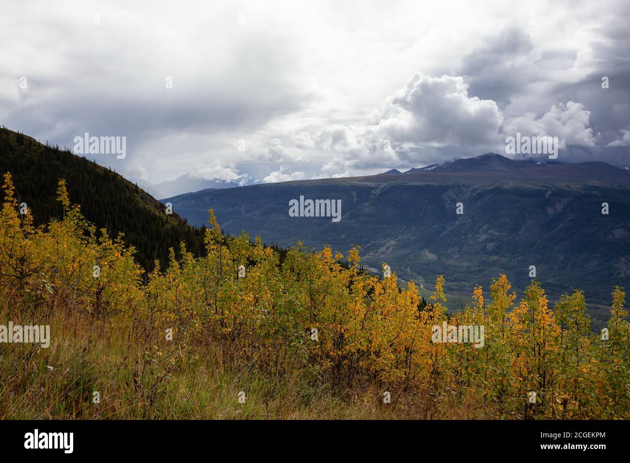 Nature in Yukon, Canada Stock Photo - Alamy