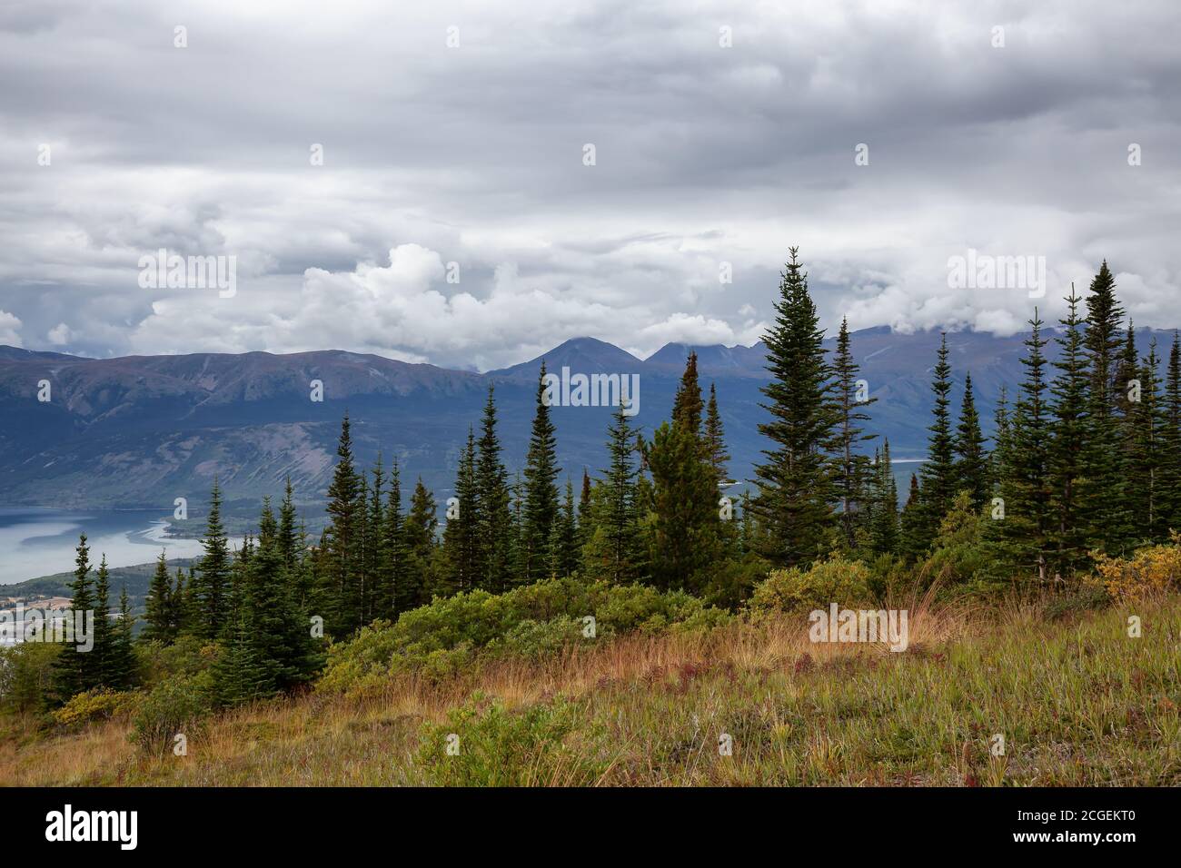 Nature in Yukon, Canada Stock Photo - Alamy