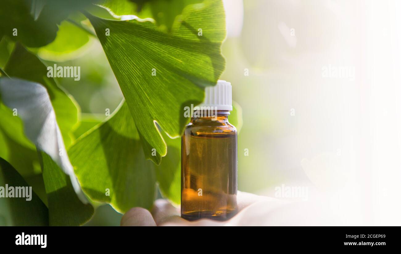 Ginkgo leaf background with copy space Stock Photo - Alamy