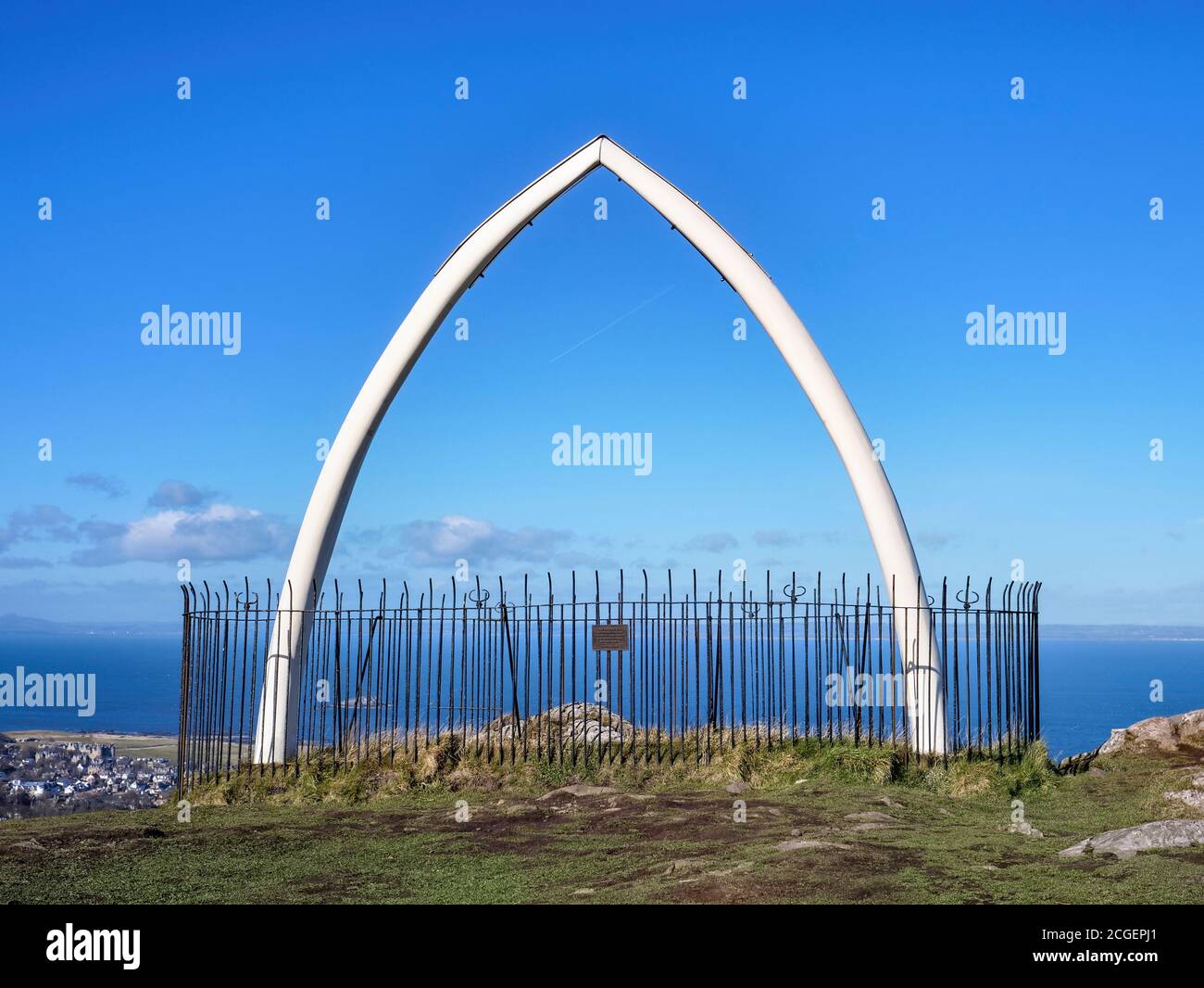 Whale bone replica hi-res stock photography and images - Alamy