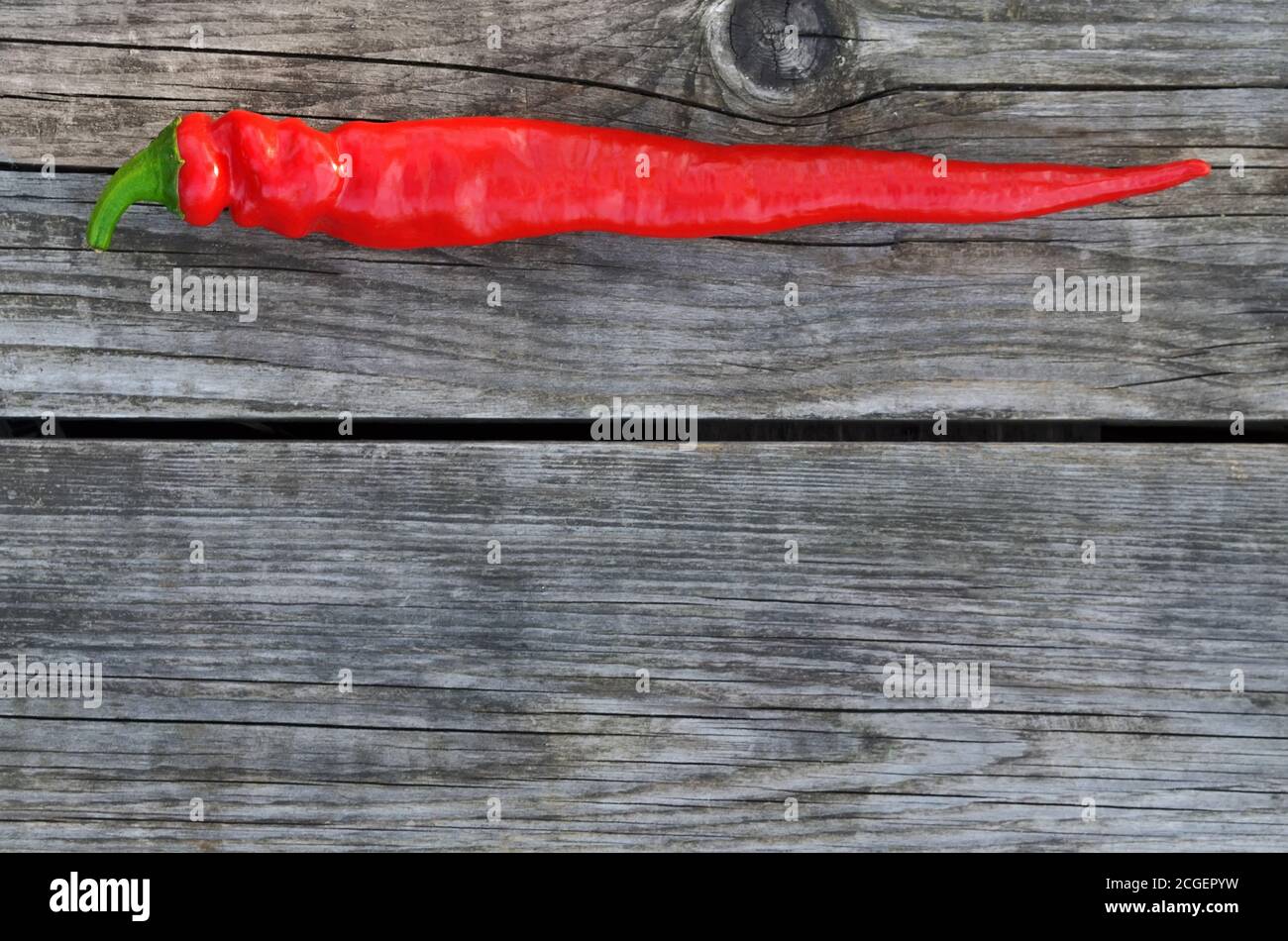 Red hot chili pepper on a rustic background with copy space. Close-up ...
