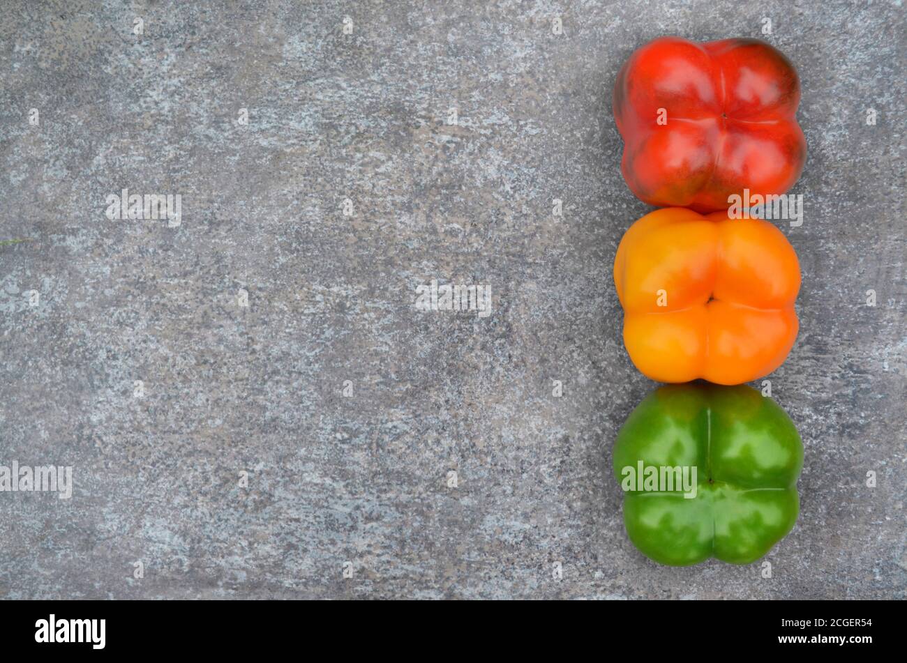 Multi-colored bell peppers on a grey background with copy space. Close ...