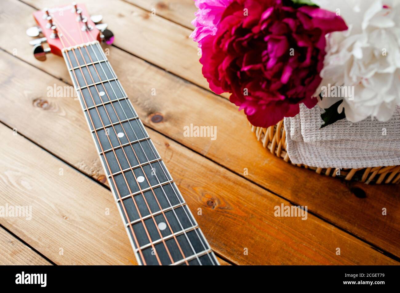 metal strings on the neck of an acoustic guitar and a bunch of lush ...