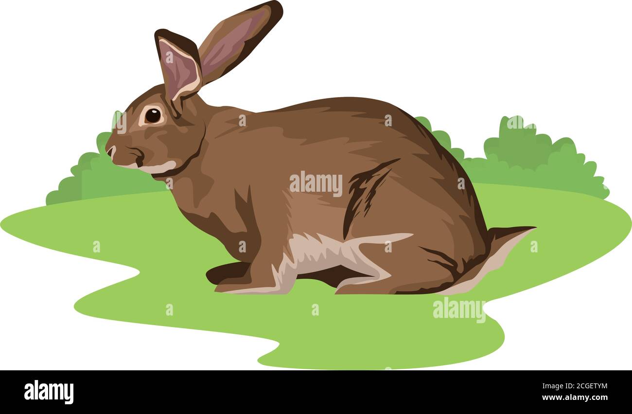 cute wild rabbit animal nature in the field vector illustration design ...
