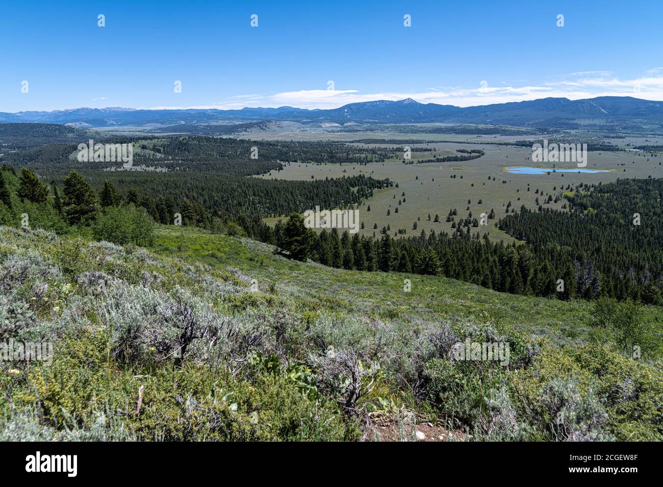 Bridger Teton National Forest High Resolution Stock Photography and ...
