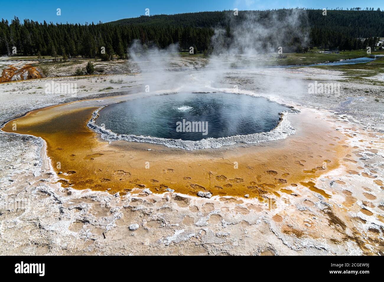 Crested pool hi-res stock photography and images - Alamy