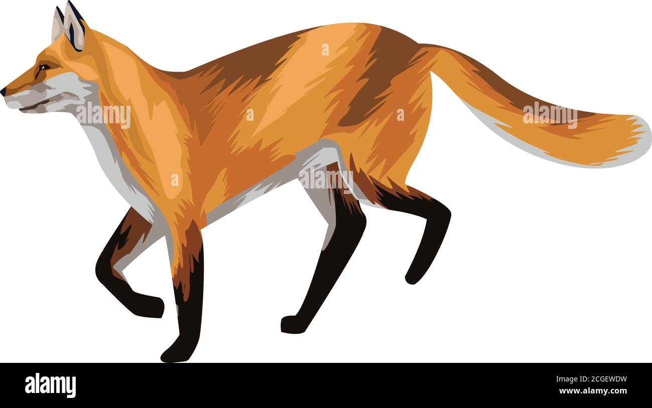 Fox side view Stock Vector Images - Alamy