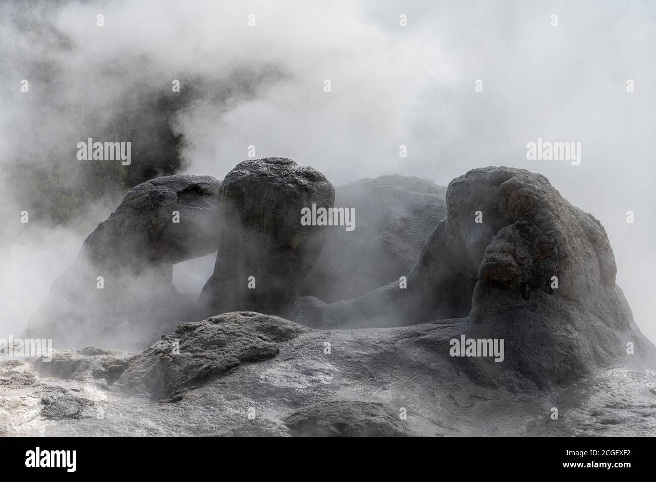 Grotto Geyser, Upper Geyser Basin, Yellowstone National Park Stock ...