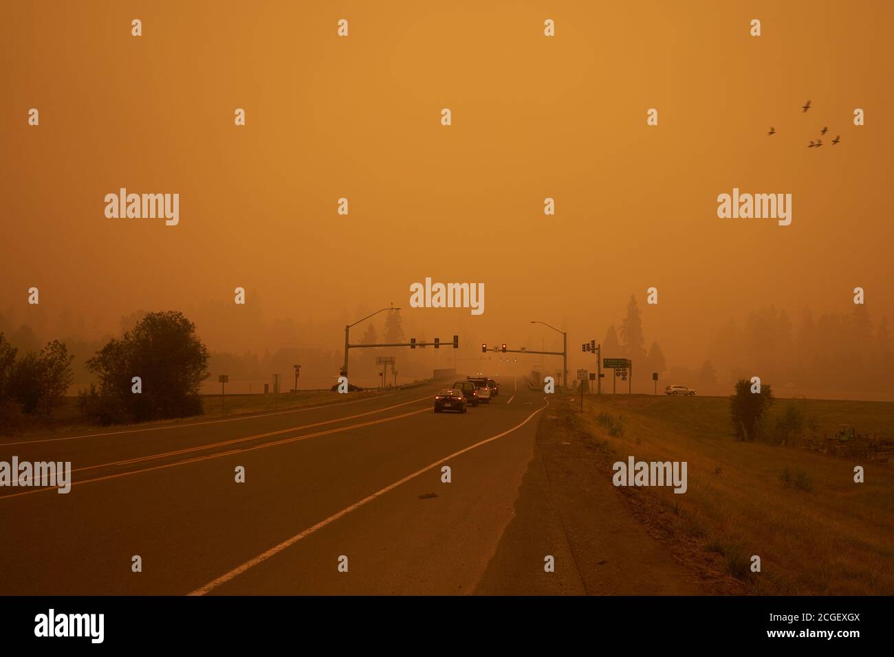 Traffic on the street in Tualatin, Oregon, during the Riverside and ...
