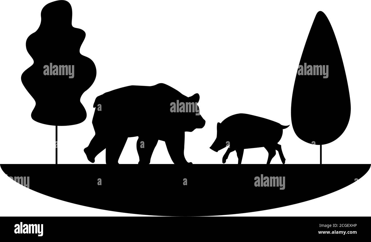 wild pig and bear beast animals icon vector illustration design Stock ...