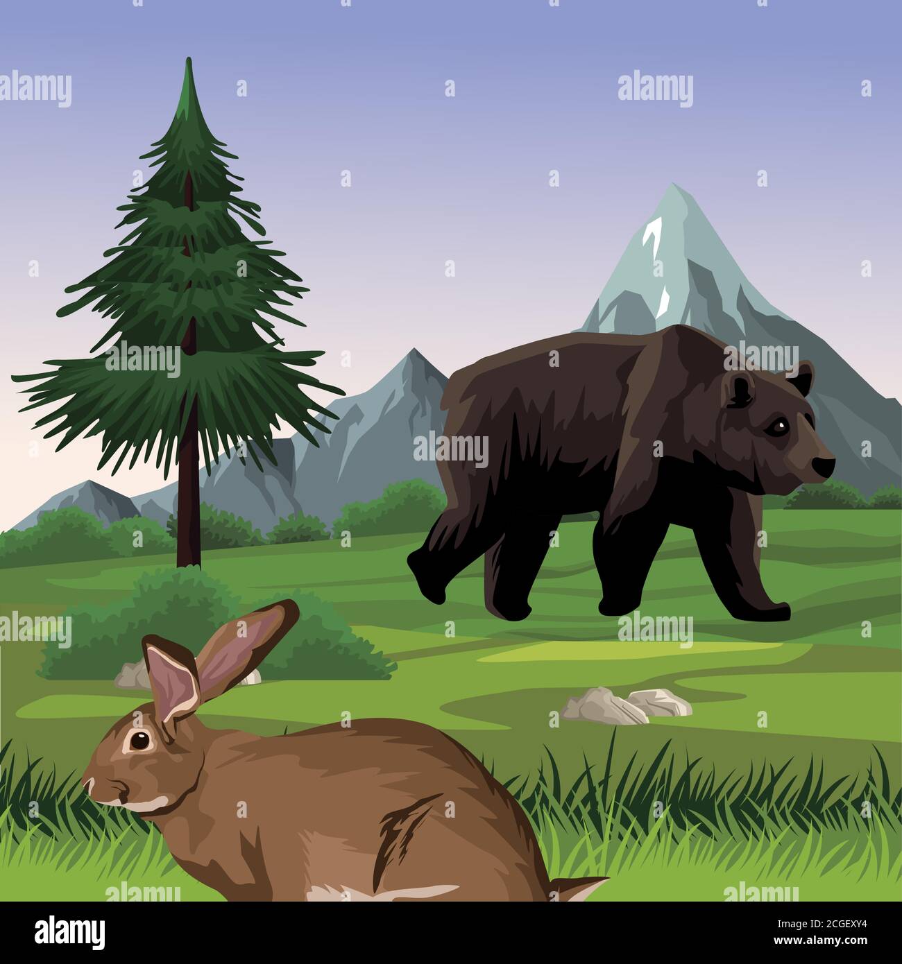 wild bear and rabbit in landscape vector illustration design Stock ...