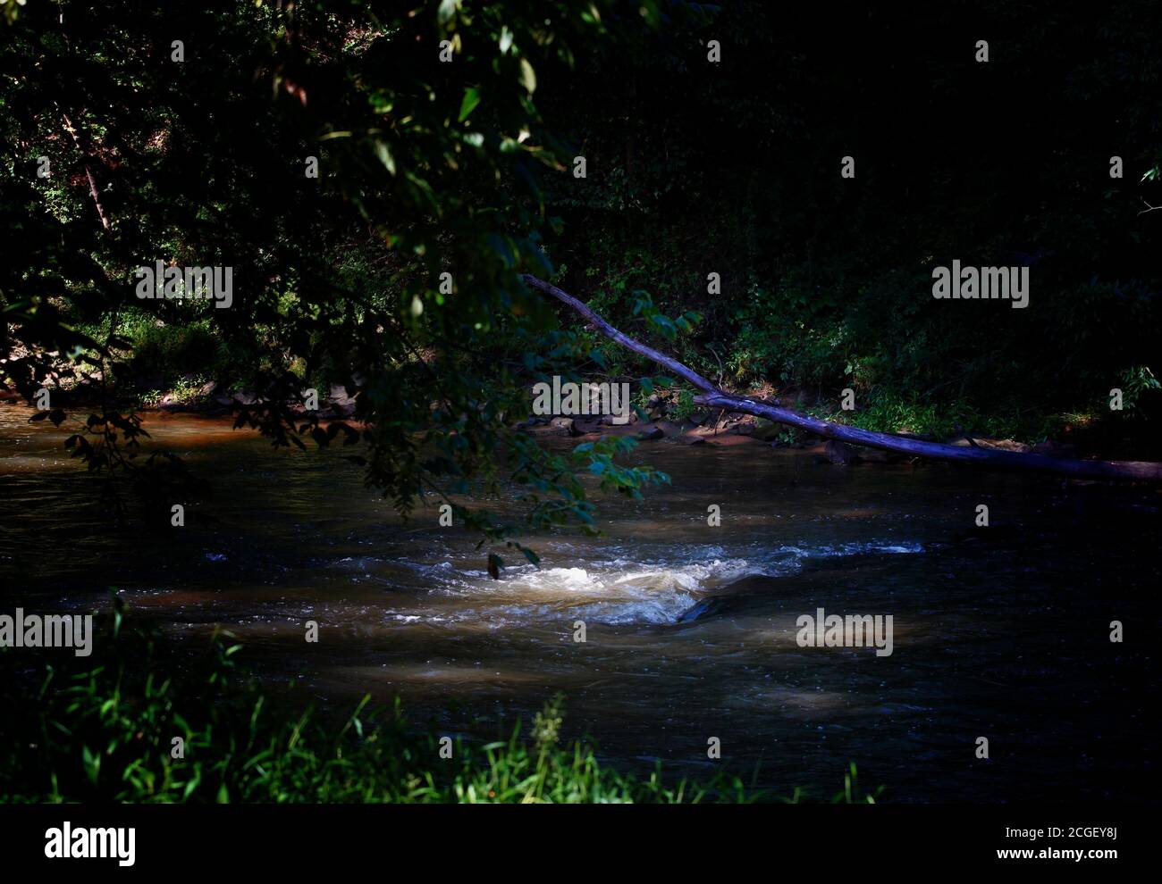 Raging waters pass through a shaded area of the river Stock Photo - Alamy