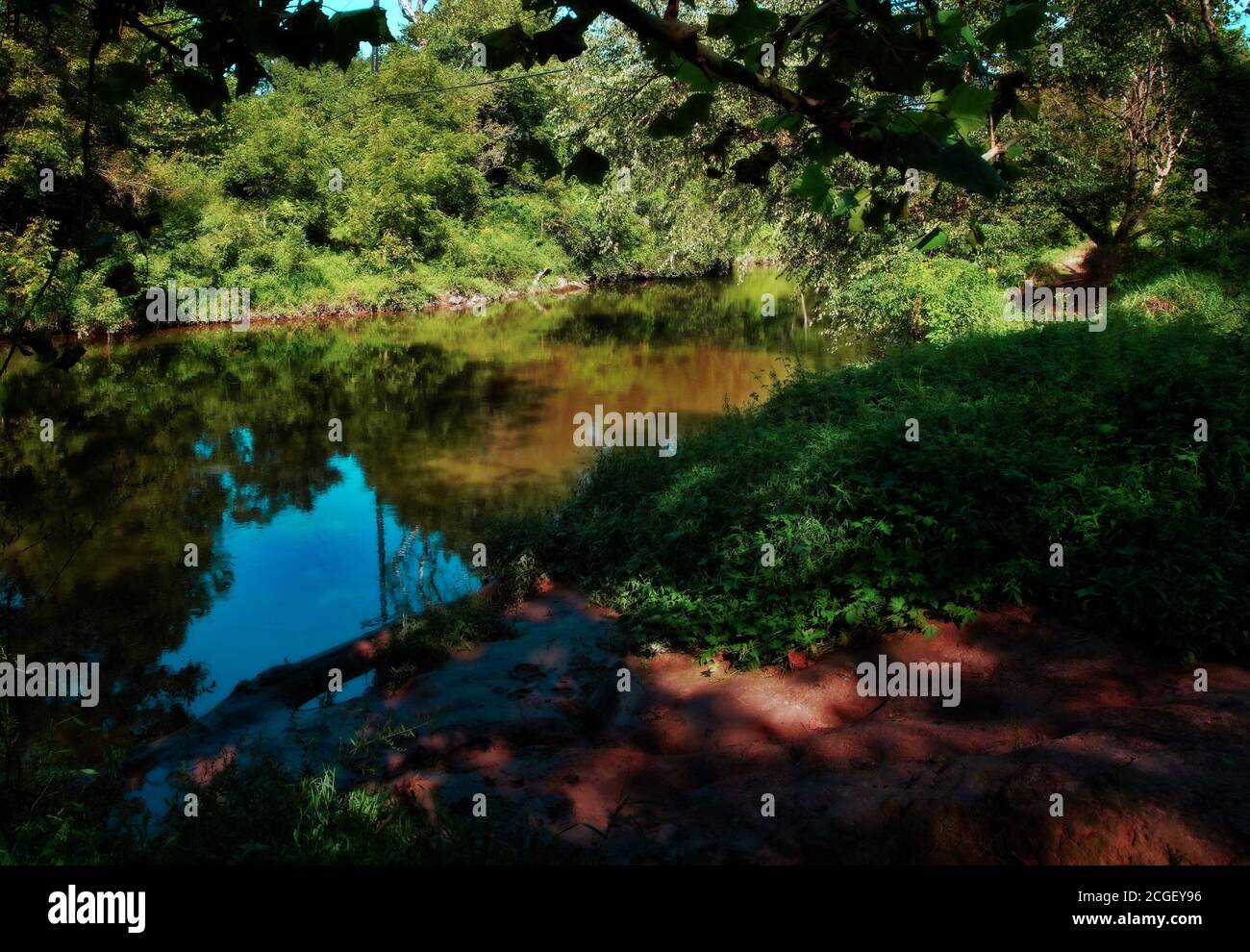 Wilderness pond after a rain storm Stock Photo - Alamy
