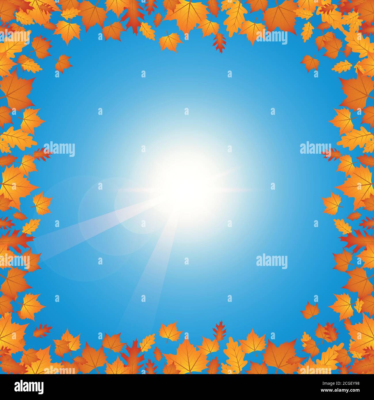 autumn leaves border on sunny sky background vector illustration EPS10 ...