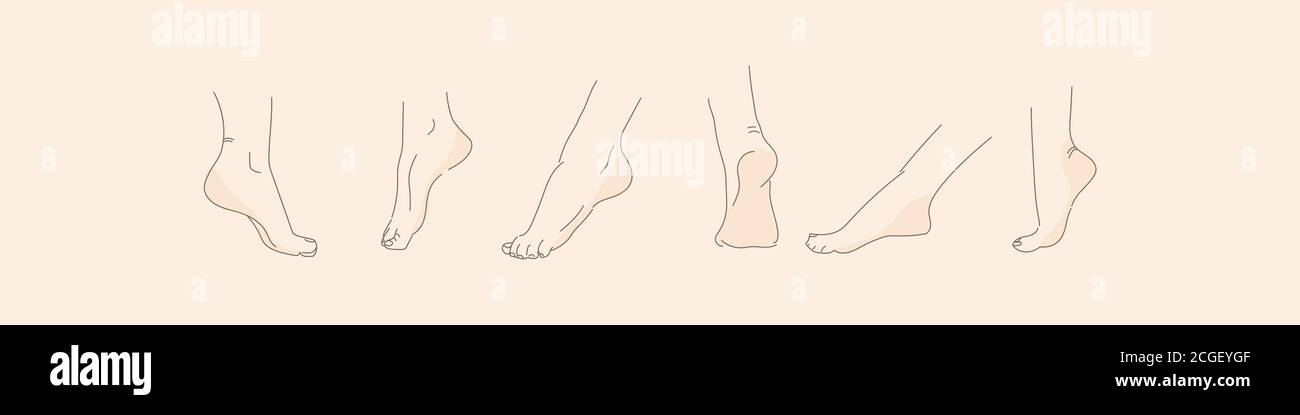Vector human foot in various poses. Hand drawing with a line Stock ...