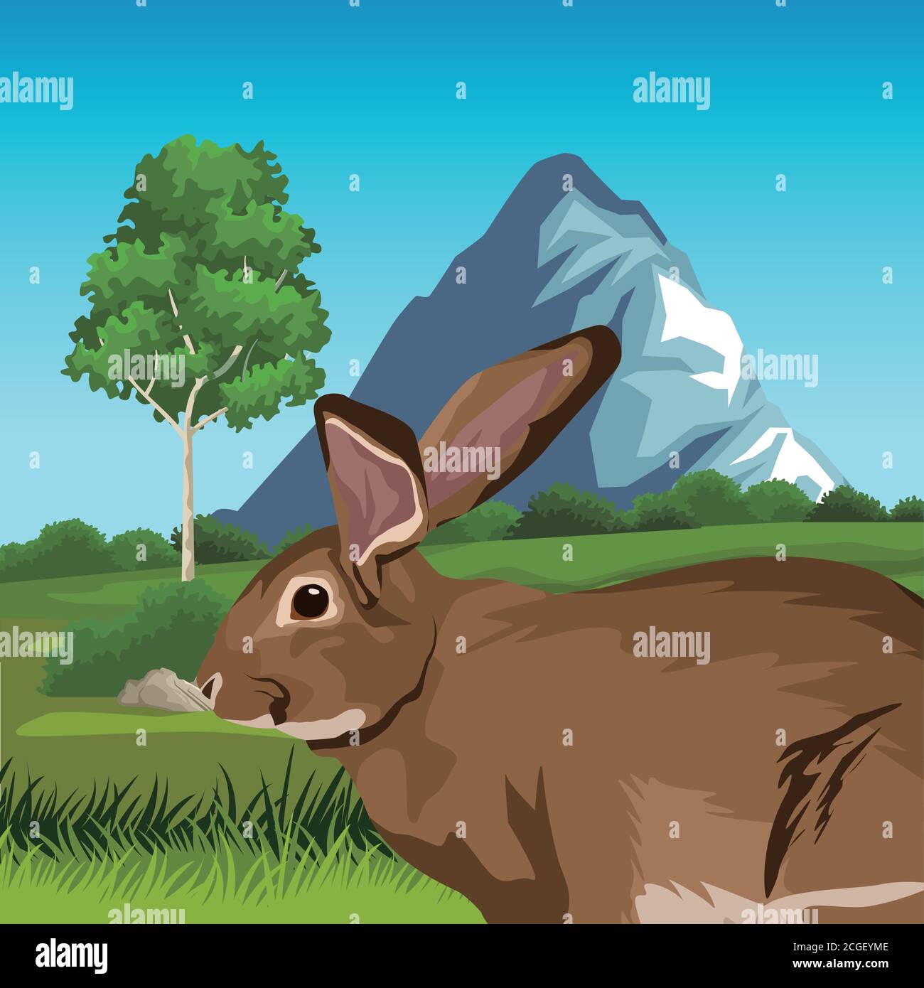 Rabbit stencil Stock Vector Images - Alamy