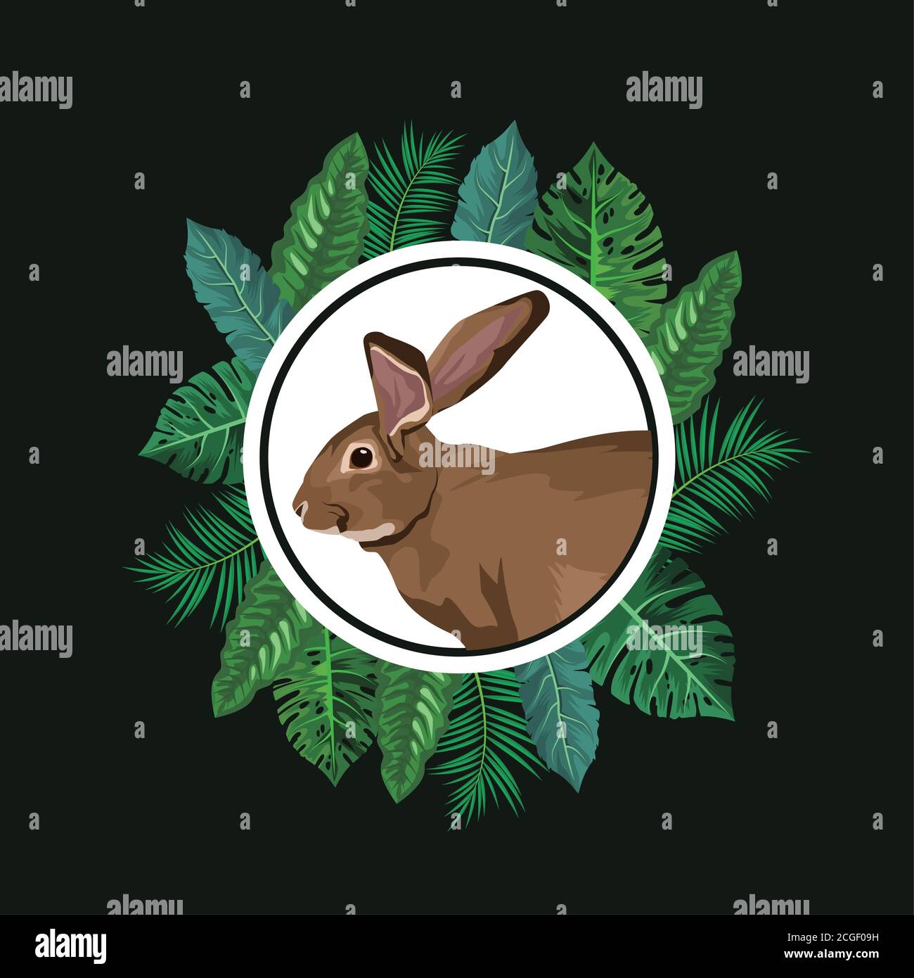 cute wild rabbit in leafs frame vector illustration design Stock Vector ...