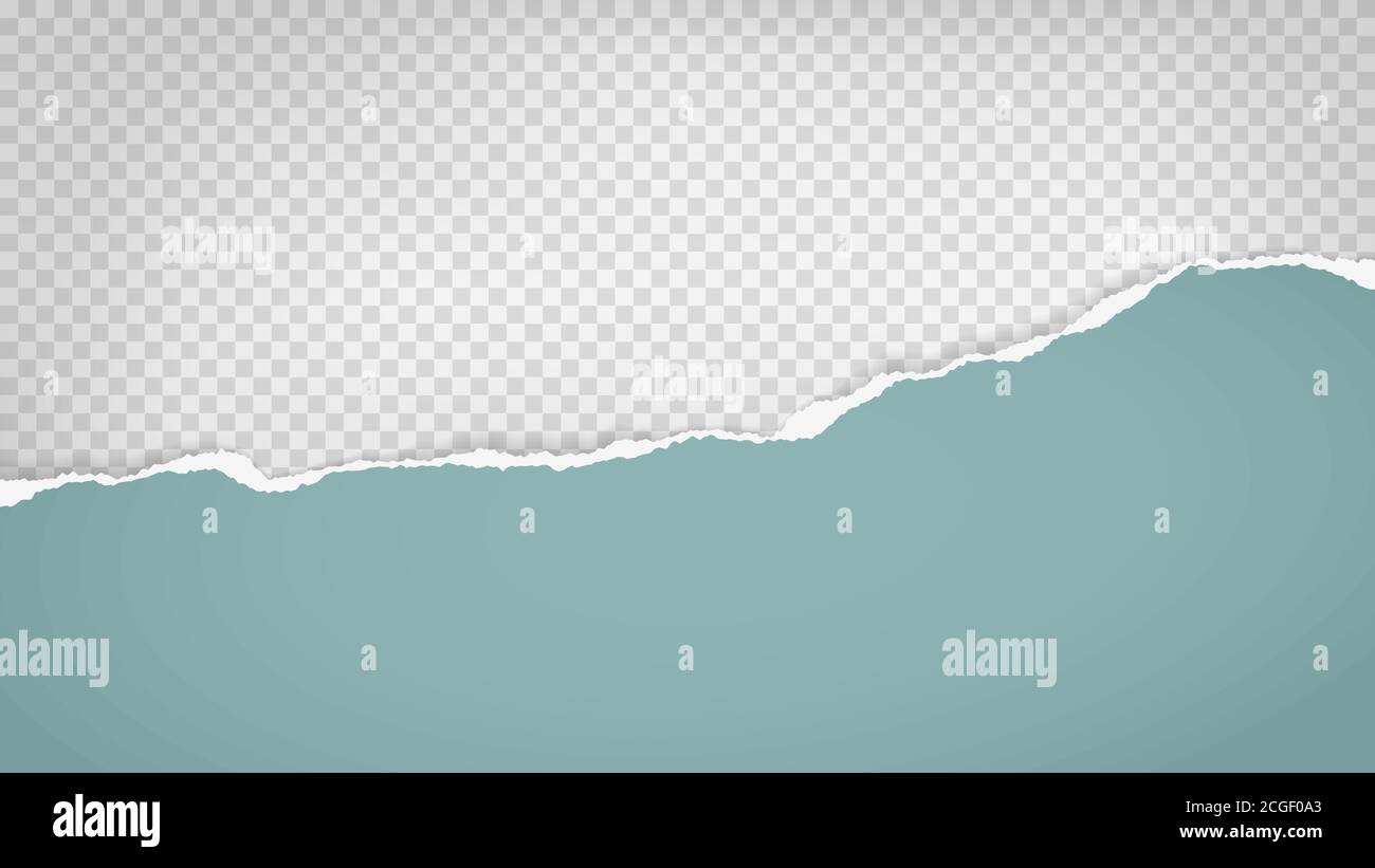 Torn paper strip is on white transparent background for text ...