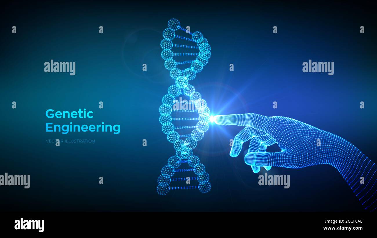 Human evolution sequence hi-res stock photography and images - Alamy