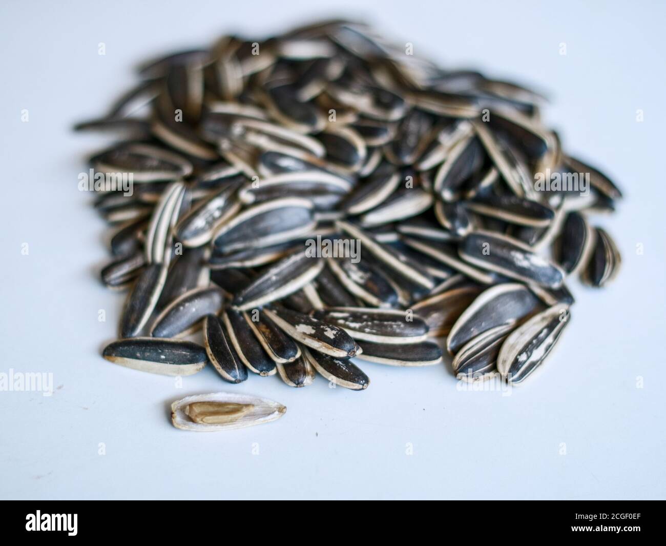 Sunflower seed snack or kuaci on white background Stock Photo - Alamy