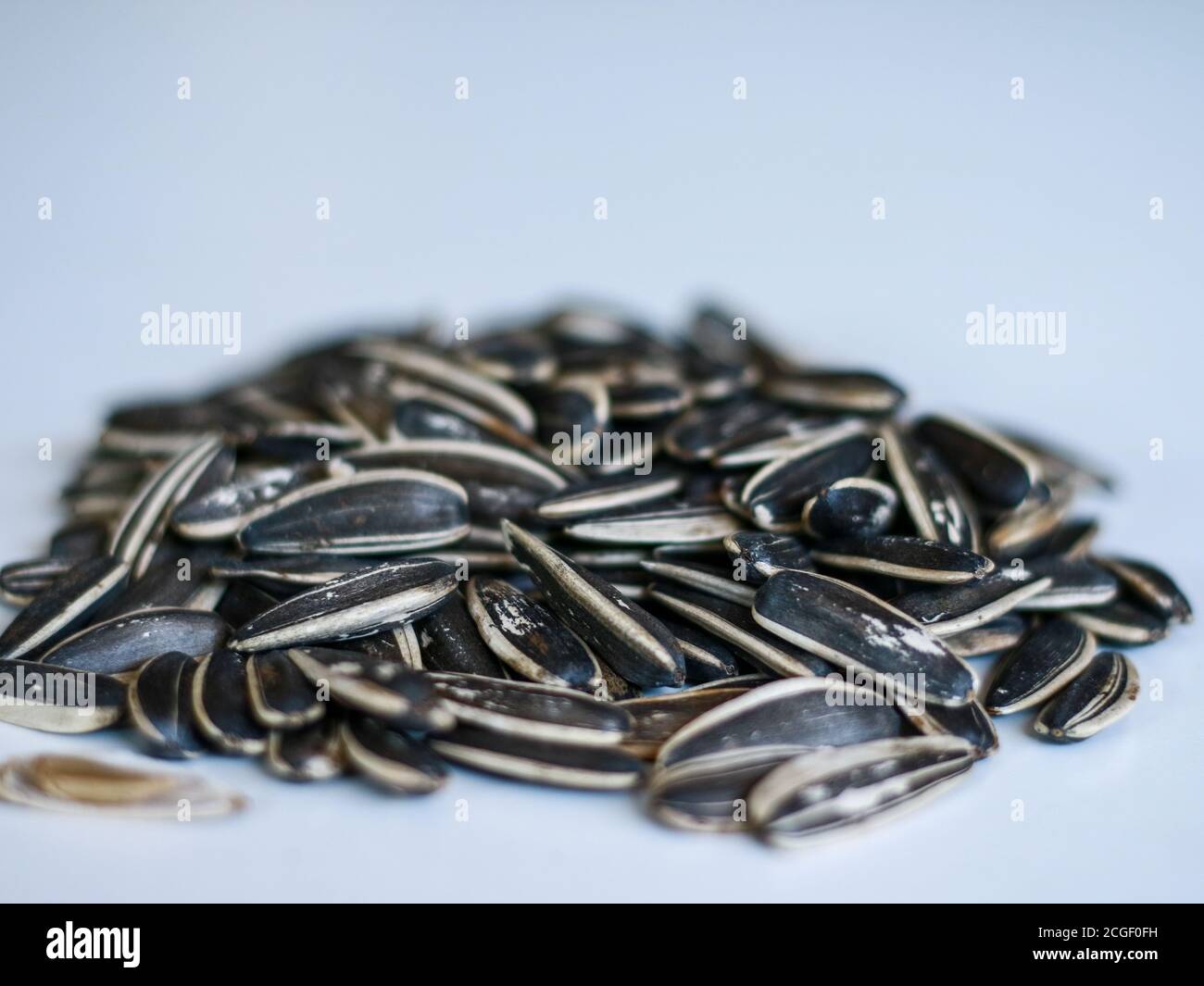 Sunflower seed snack or kuaci on white background Stock Photo - Alamy