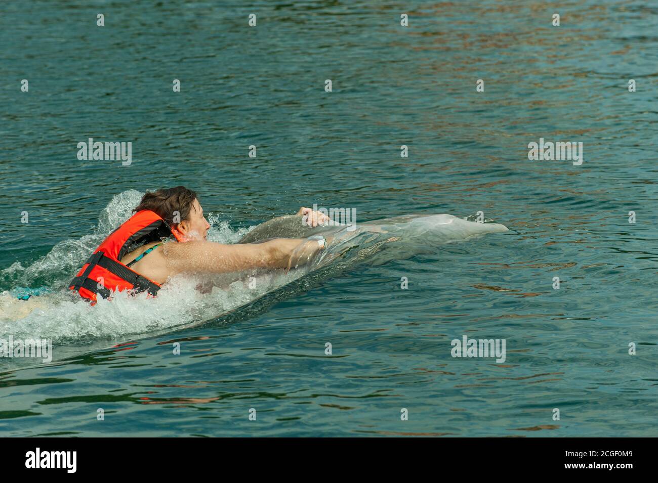 The swim with the Bottlenose dolphin program at the Dolphin Discovery ...