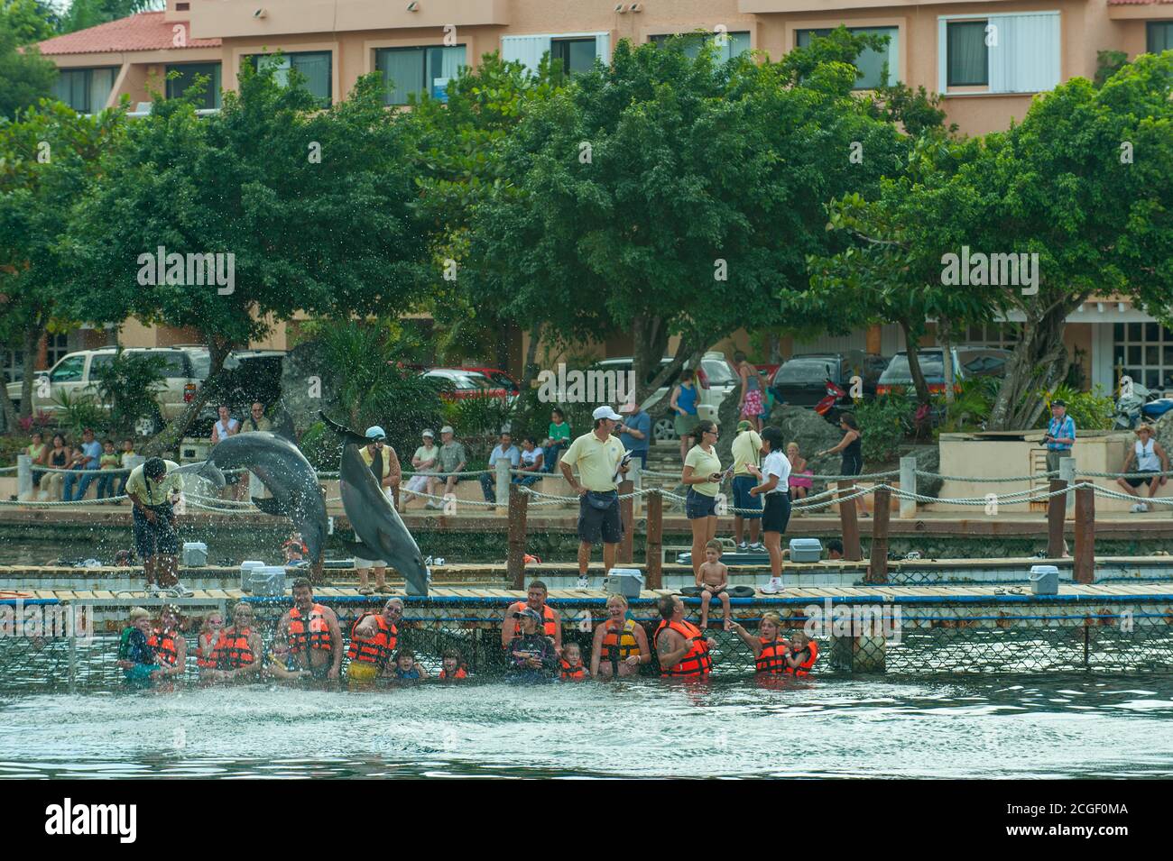 The swim with the Bottlenose dolphin program at the Dolphin Discovery ...