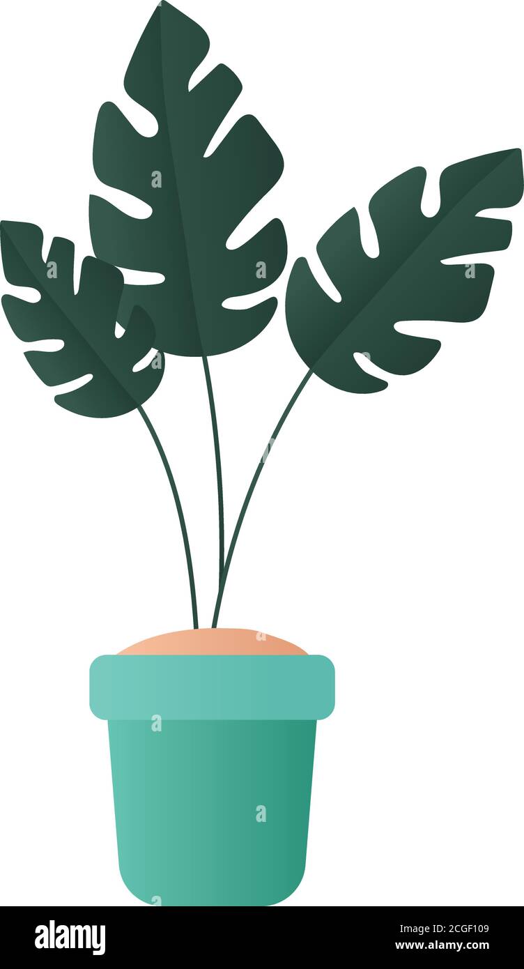 Isolated plant inside pot vector design Stock Vector Image & Art - Alamy