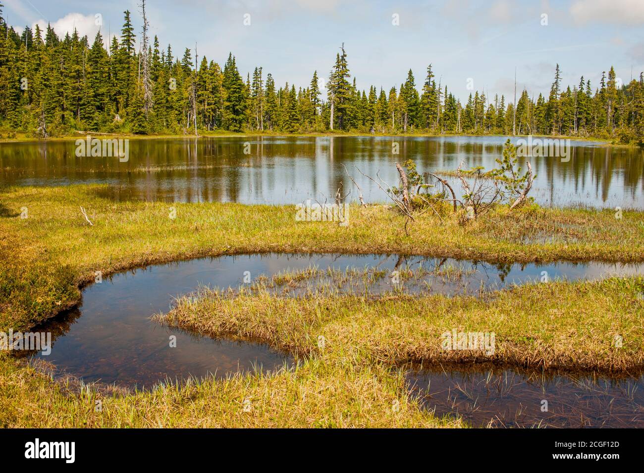 A swamp and lake in Strathcona Provincial Park, which is the oldest ...