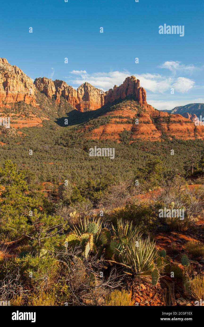 View of the landscape of Ship Rock and Steamboat Rock from the Brins ...