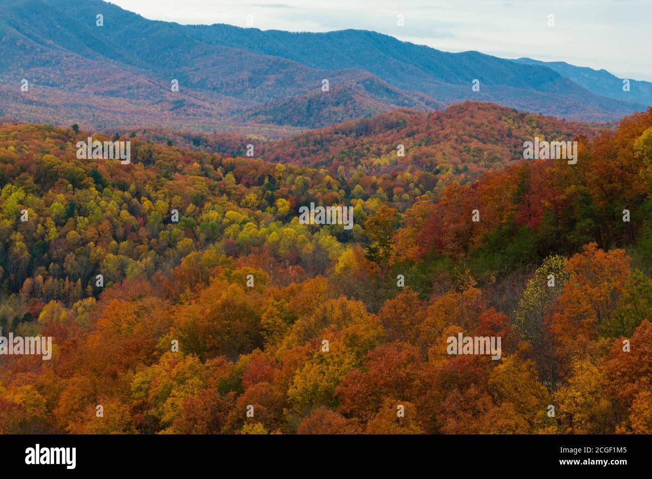 Autumn Color in East Tennessee from the Foothills Parkway Stock Photo ...