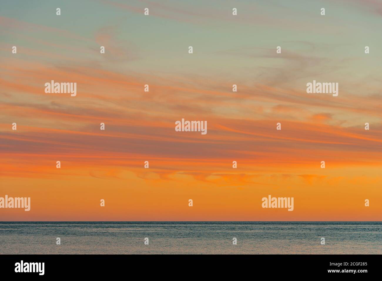 Carolina edisto hi-res stock photography and images - Alamy