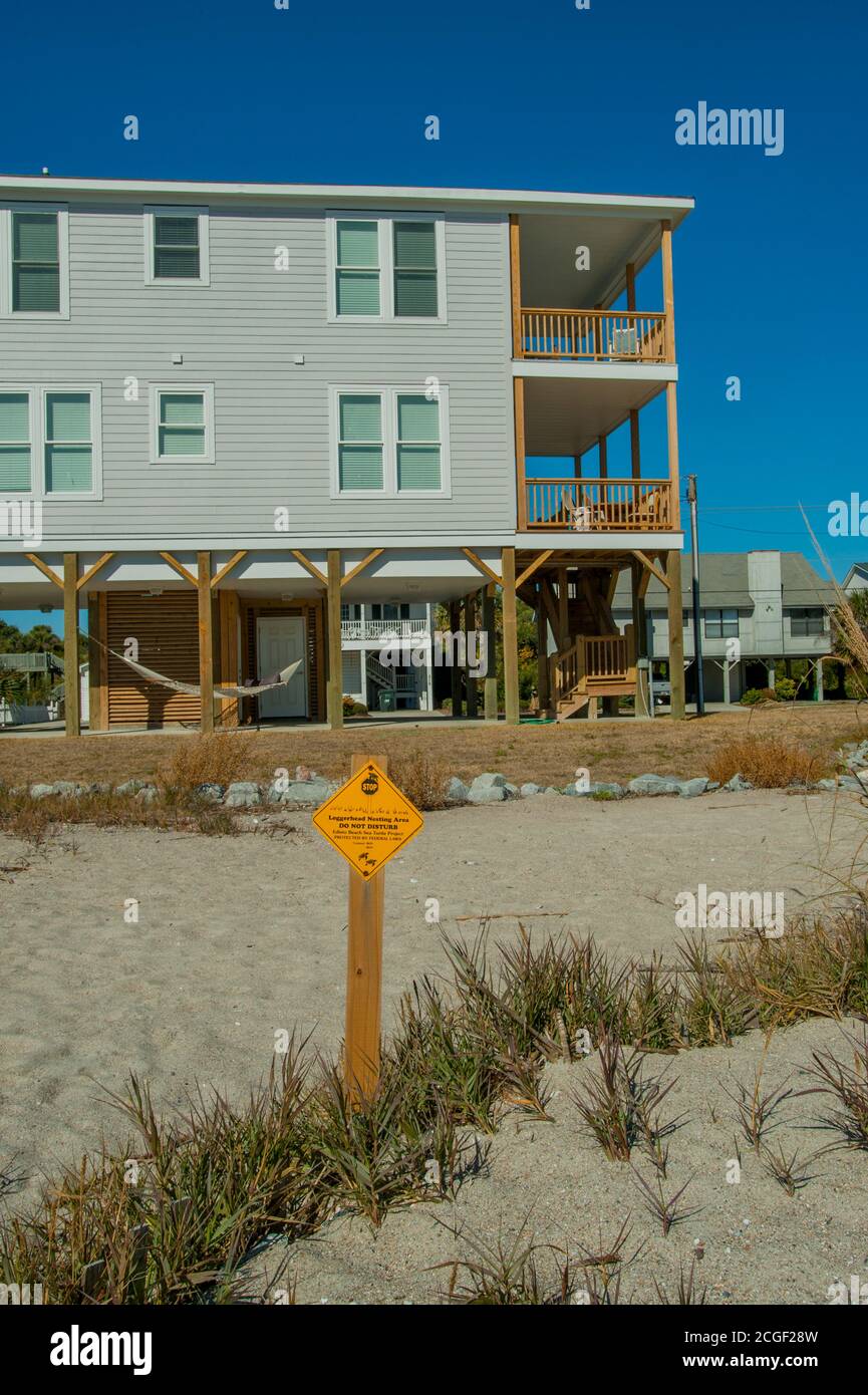 A loggerhead sea turtle (Caretta caretta) nesting site on a beach on ...