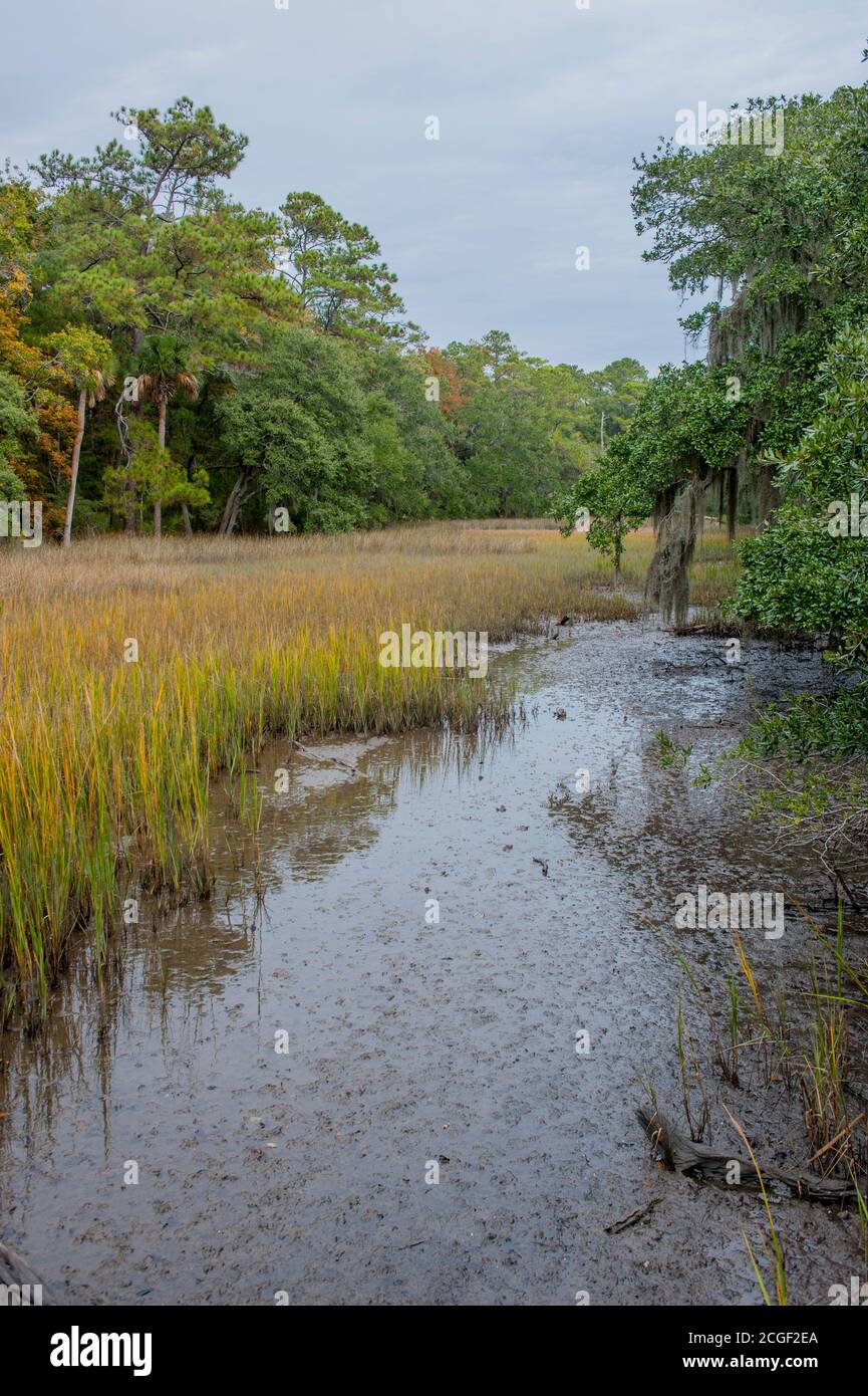 View of a salt marsh at the Edisto Beach State Park, on Edisto Island ...