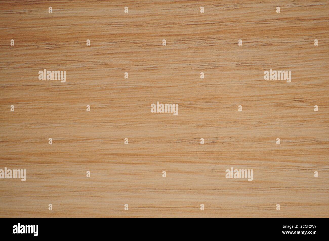 Dark beech, texture of natural light wood on a cut, close-up ...