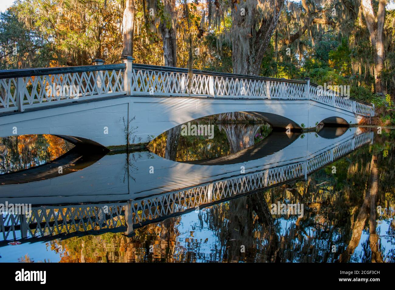 A white bridge and trees are reflecting in a pond at the Magnolia ...