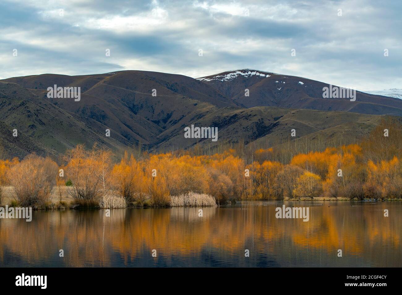The orange-yellow forests in the pond reflect the beautiful dark tones ...